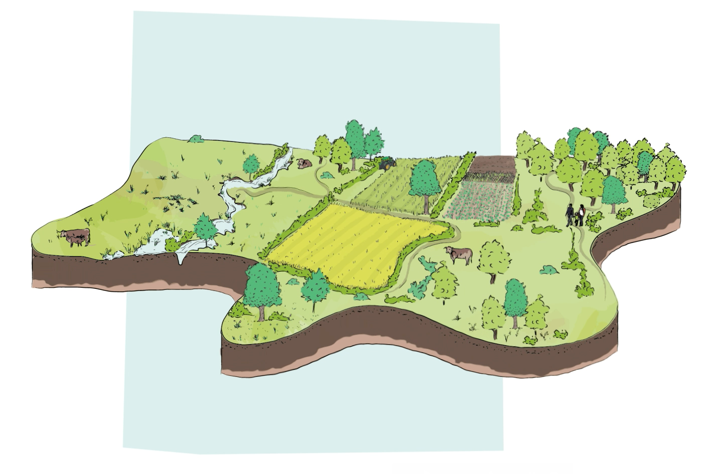 National Trust: Land Use - Vivid Animation