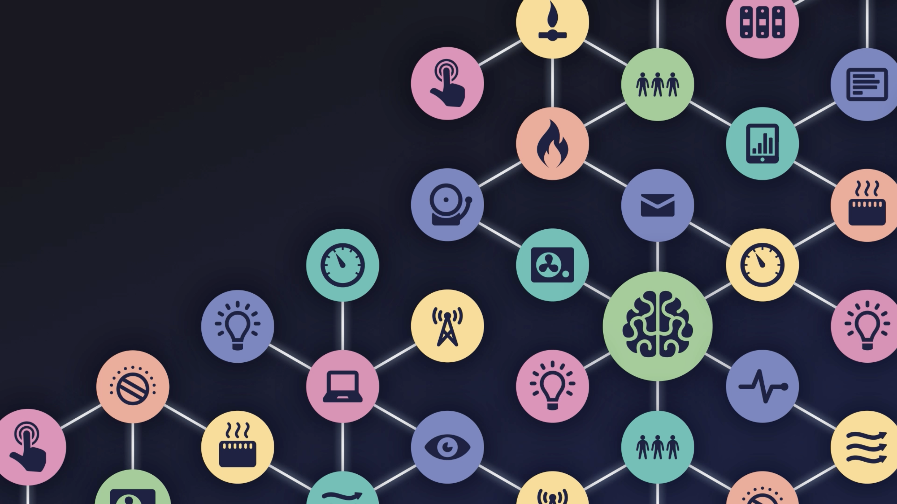 CODA: Explainer - Vivid Animation